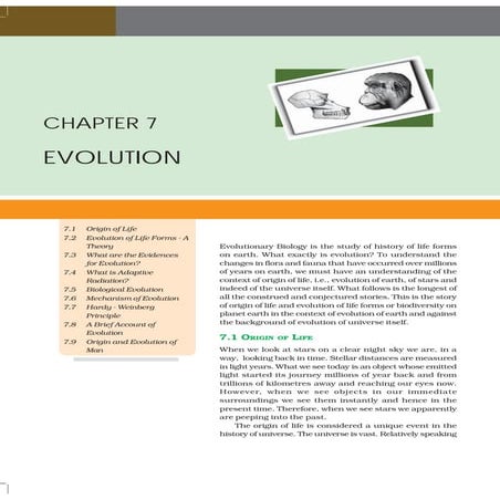 07 evolution | PDF | Biological Sciences | Science