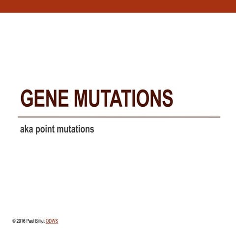 GENE MUTATIONS.ppt