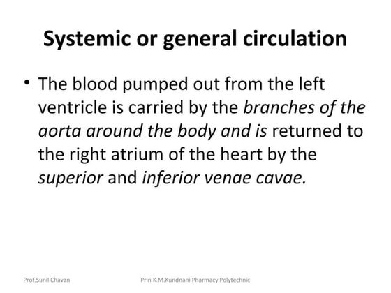 Pulmonary and systemic circulation | PPSX