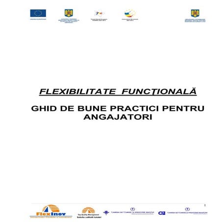07 Ghid Bune Practic | PDF