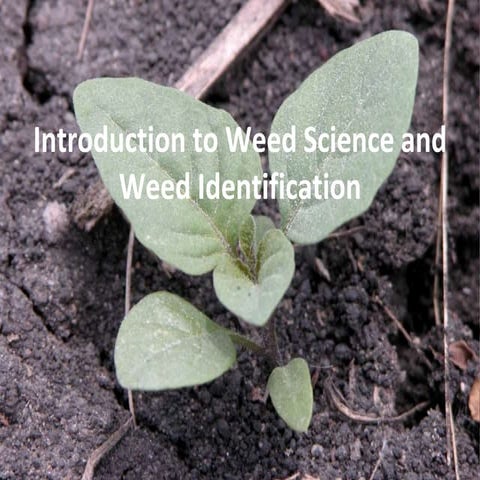 Introduction to Weed Science.pptx