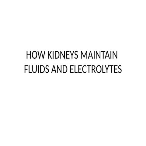 07 Kidneys Maintain Fluids and Electrolyte Balance - 30 PPT - 11 Feb ...