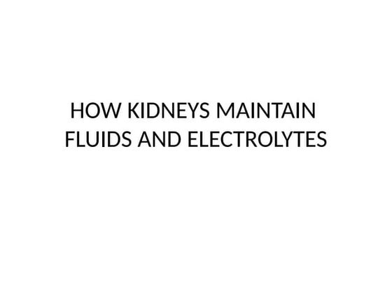 Functions of kidney | PPT