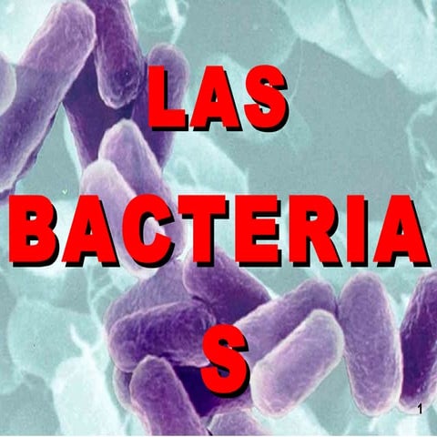 forma y disposicion de las bacterias | PPTX