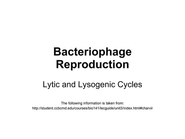 Lytic & Lysogenic Cycle | PPTX