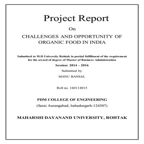 excellent project report | DOCX