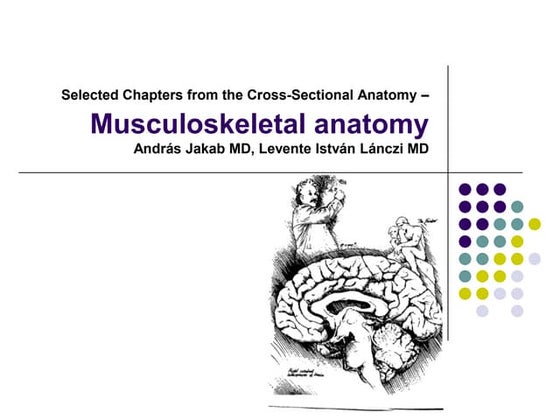 Anatomy of musculoskeletal system | PPTX
