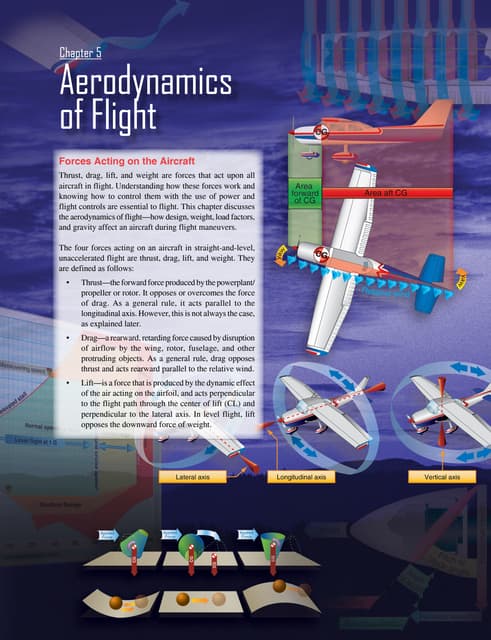 Flying Twins FAA P 8740-66 | PDF