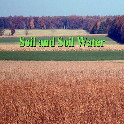 Soil and Water growth and development after seeding plant | PPT