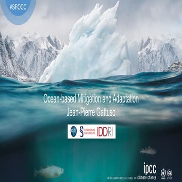 Ocean-based Mitigation and Adaptation | PDF