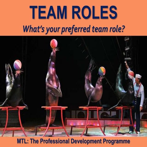 Team Roles | PPTX