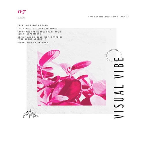 07 visual vibes | PDF