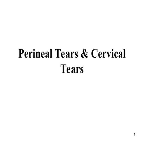 08-1.2 PerinealTears SURGEY AND GYNECOLOGY.ppt