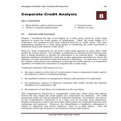 08.1 corporate credit analysis | PDF