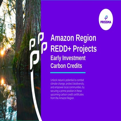 AMAZON REGION REDD+ PROJECTS | PDF