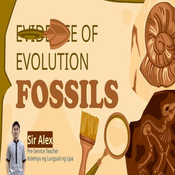 08.02 Evidence of Evolution Fossils.pptx