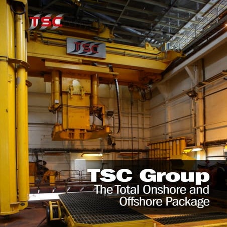 TSC Group Holdings | PDF
