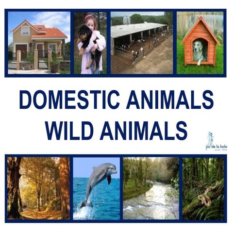 DOMESTIC ANIMALS - WILD ANIMALS | PPT