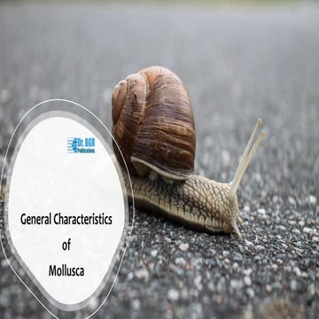 General Characteristics of Mollusca | Dr.BGR Publications | PPTX ...