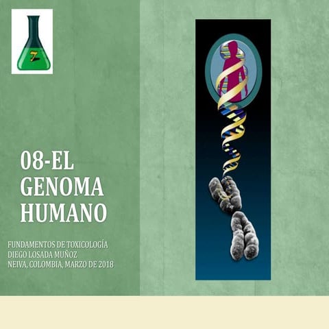 El Genoma Humano | PPTX