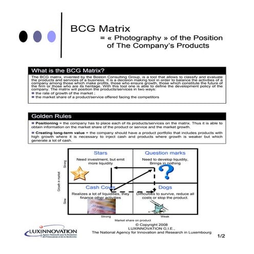 BCG Matrix | PDF | Business Accounting & Finance | Business