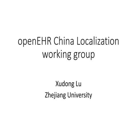 openEHR China Localization working group | PDF