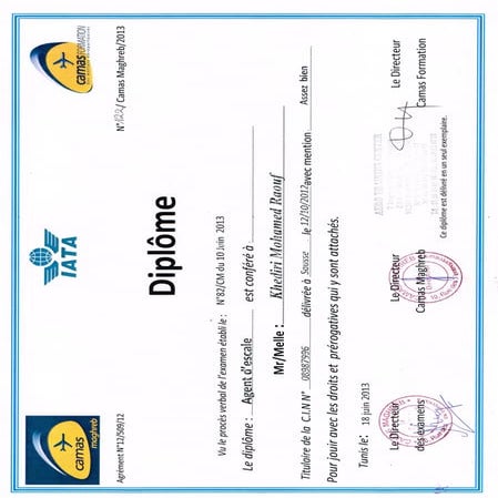 IATA DIPLOMA | PDF