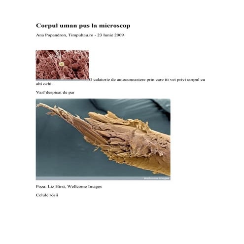 085 corpul uman pus la microscop | DOC