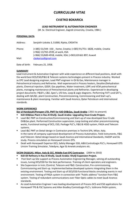 CURRICULUM VITAE new2 | PDF