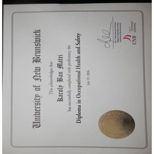 Diploma in Health and Safety | PDF