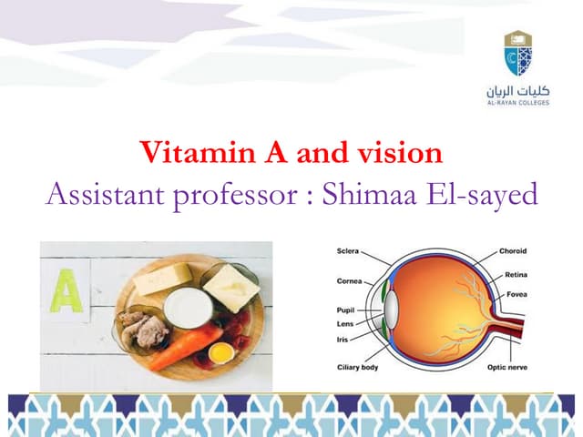 vitamin A and its role of vision in the dim light.pdf