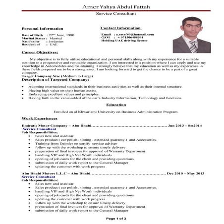 amer modified CV | DOC | Automotive Industry | Industries