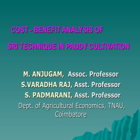 0870 Cost-Benefit Analysis of SRI Technique in Paddy Cultivation | PPT