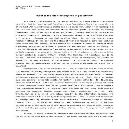 WPT essay final draft | DOCX | Death, Injury, or Military Conflict ...