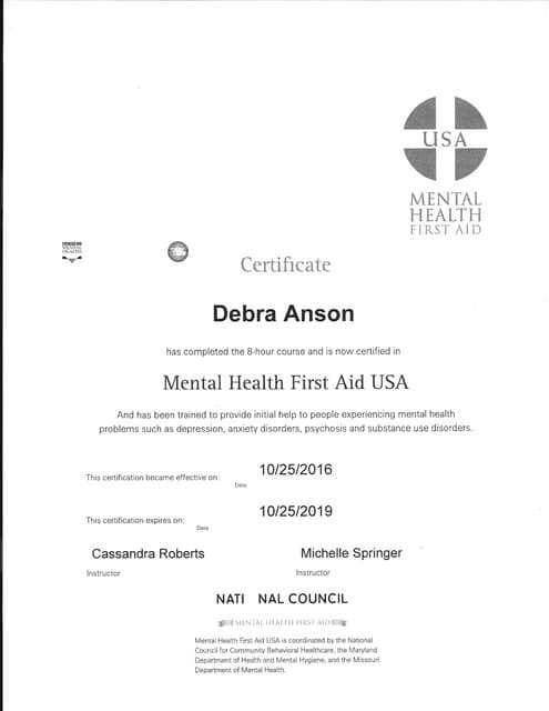 REN Certification | PDF