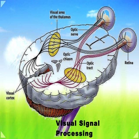 08a vision processing overview | PPT