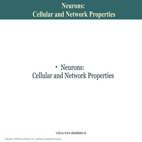 Neurons | PPT