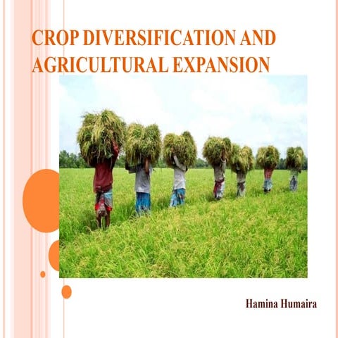 Three Decades of Crop Diversification Changes in Telangana (1991-2021 ...