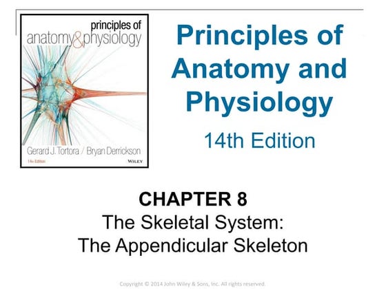 06 [chapter 6 the skeletal system bone tissue] | PPT