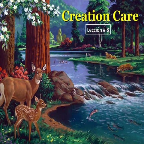 08 creation care | PPT