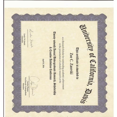 Certificate | PDF