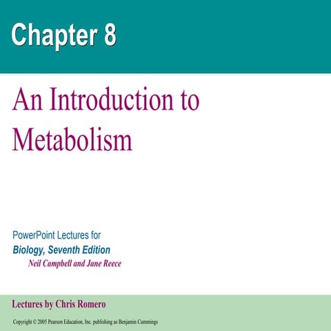 08_ENERGY_AND_METABOLISM_Energy and metabolism are fundamental ...