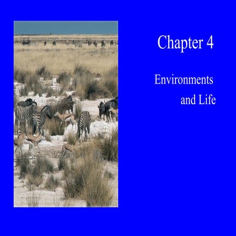 08 environment life | PPT