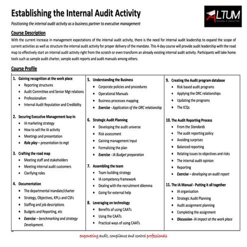 Establishing the Internal Audit activity | PDF