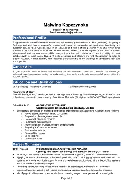 Irvin Luchowa Cv 2012 | PDF