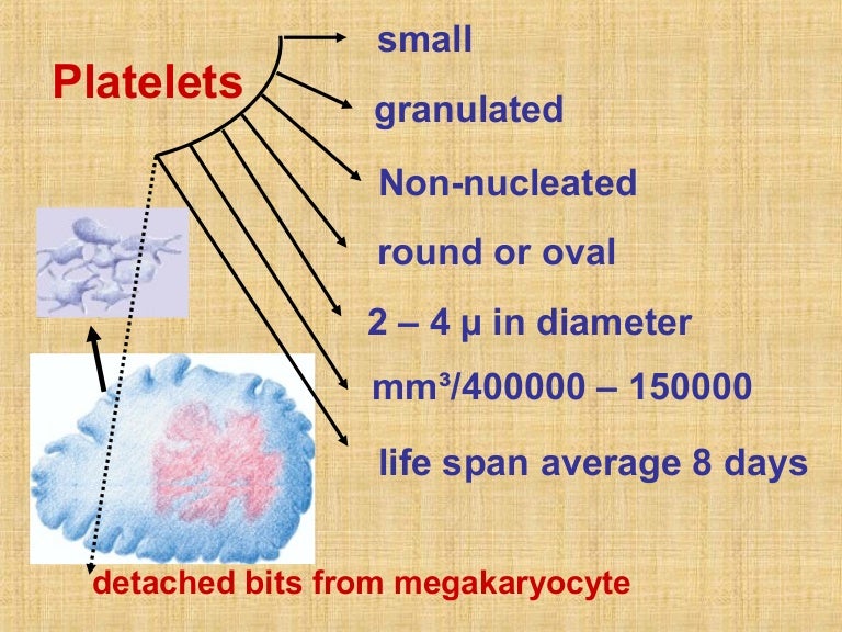 Platelets Function