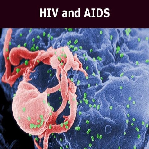 08 hiv and aids[1] | PPT