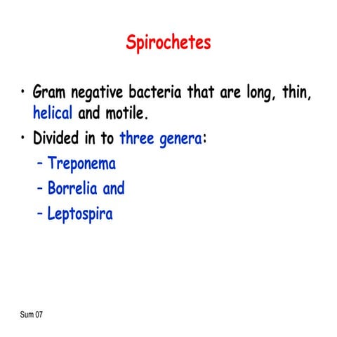 08 infectious disease spirochetes | PPT | Brain and Nervous System ...