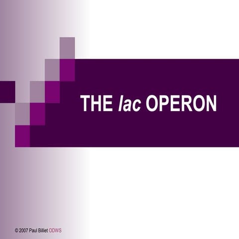 08 lac operon | PPT