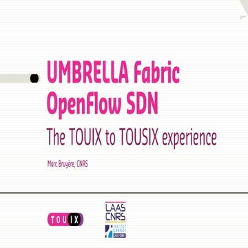 Peering and Transit Tutorials: Open-IXSDN Umbrella IXP Fabric | PDF